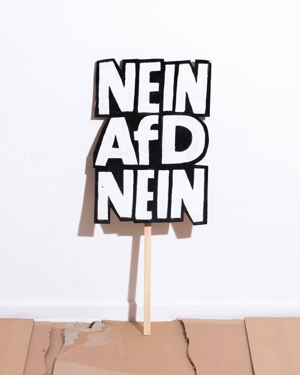 How I became a protest sign influencer - All Things Letters